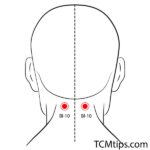Feng Chi Point. The Most Underrated Acupressure Point - Easy TCM Wisdom ...