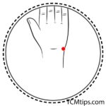 Insider Secrets: Experts Share Their Tips for Acupressure Points for ...