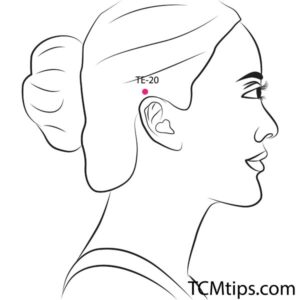 5 Key Acupressure Points For Hair Growth (Plus 2 Bonus Acupoints To ...