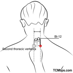 7 Acupressure Points to Fight Cold Symptoms Naturally - Easy TCM Wisdom ...