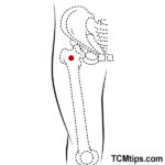 11 Easy Acupuncture Points For Hip Pain - Easy TCM Wisdom : Your Path ...