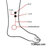 Cleanse Your Silent Organ: 7 Useful Acupressure Points For Liver Detox ...